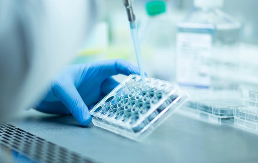 Nosotros :: AVIMEX®